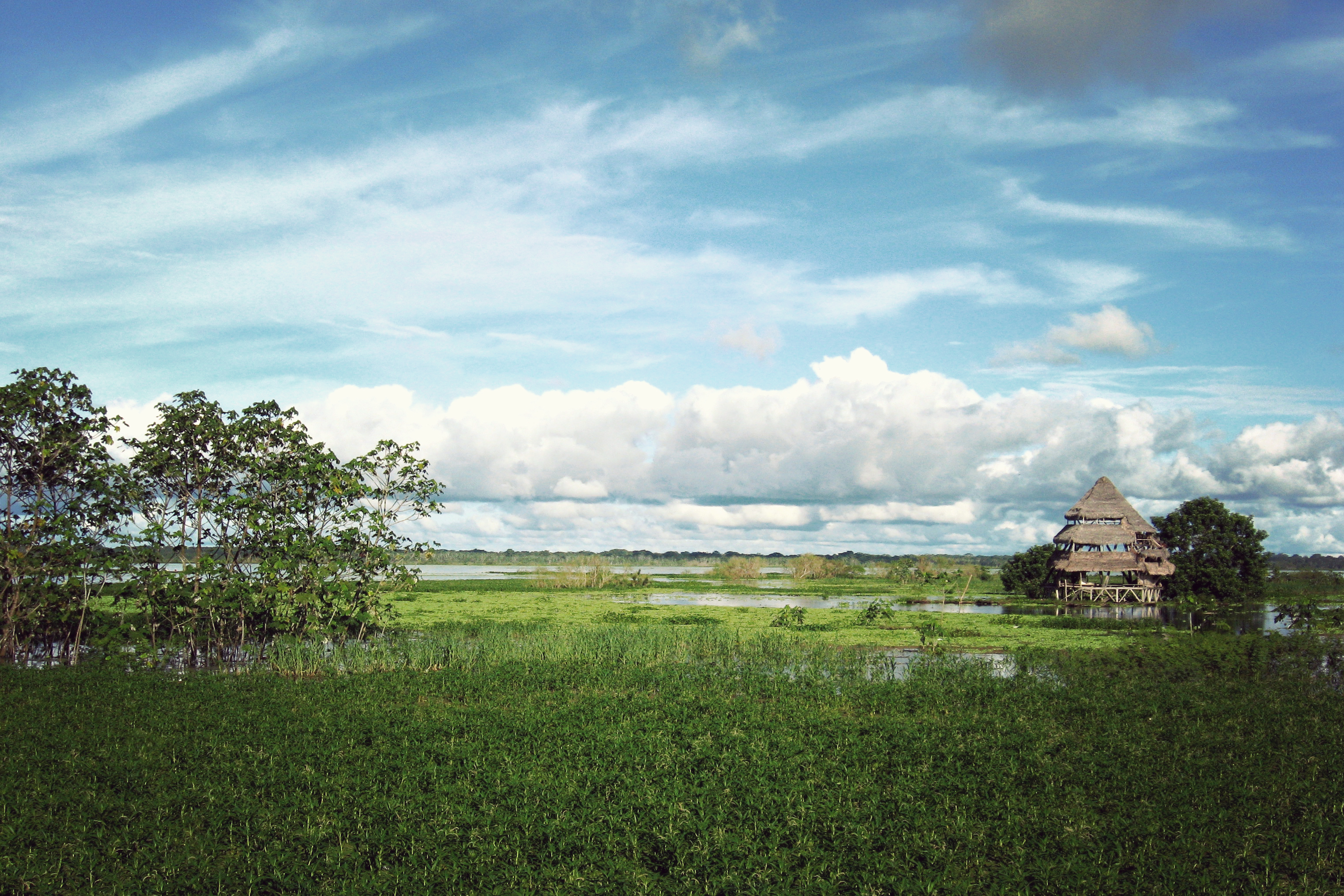 Ablauf und Route der Individualreise Amazon River Lodge | Papaya Tours